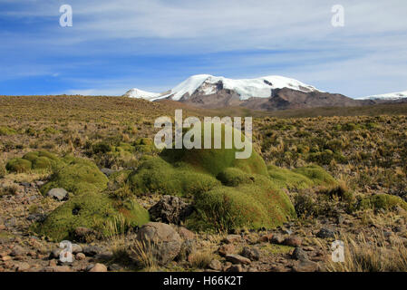 Nevado Coropuna, Peru Stock Photo - Alamy