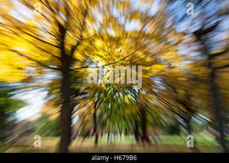 Fall foliage in Milwaukee, Wisconsin, USA Stock Photo - Alamy
