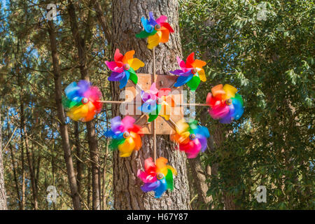 pinwheel toy hanging from a tree in forest Stock Photo - Alamy