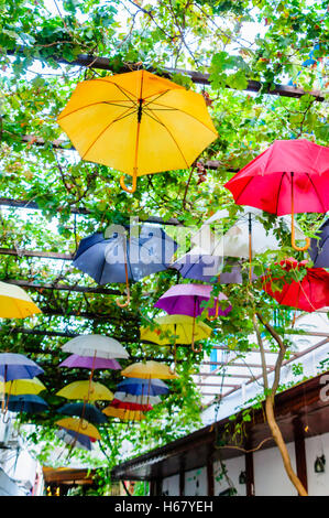 Multicoloured umbrellas line the roof of Fethiye Market, Turkey Stock ...
