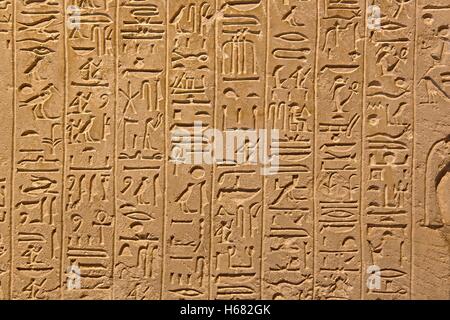 Hieroglyph pictographic script writing at the Temple of Seti, Nile ...