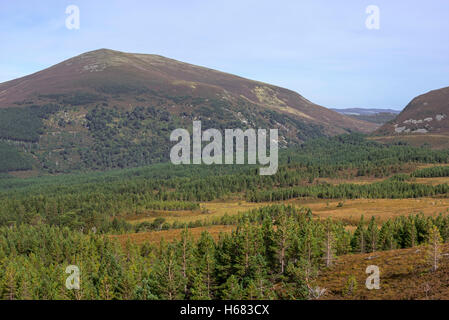 Landscape in Glenmore Forest Park with Cairngorms in background ...
