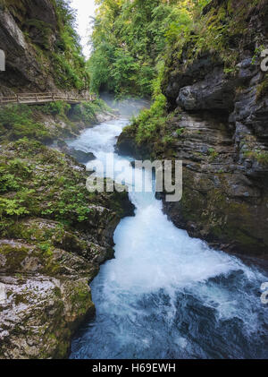 Alpine landscape with Radovna River in Vintgar Gorge, Triglav National ...