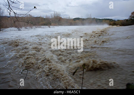 Cecina, Livorno, Tuscany - the flooded Cecina river due to heavy Stock ...