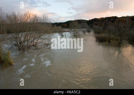 Cecina, Livorno, Tuscany - the flooded Cecina river due to heavy rains ...