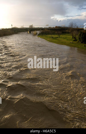 Cecina, Livorno, Tuscany - the flooded Cecina river due to heavy rains ...