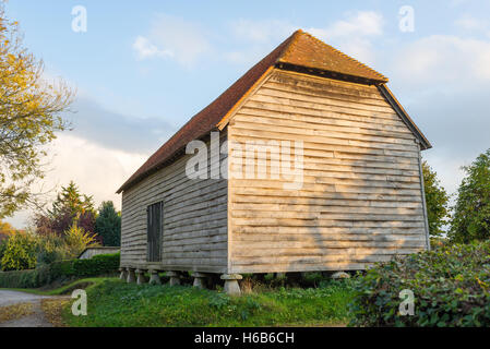 Staddle stone (staddlestone) supporting a wooden granary building ...