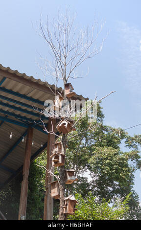 a wood bird house hanging on a tree Stock Photo - Alamy