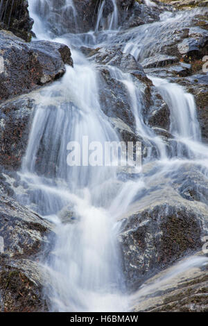 High mountain detail Stock Photo - Alamy