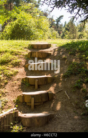 Picture of a wooden stairs made from tree trunks Stock Photo - Alamy