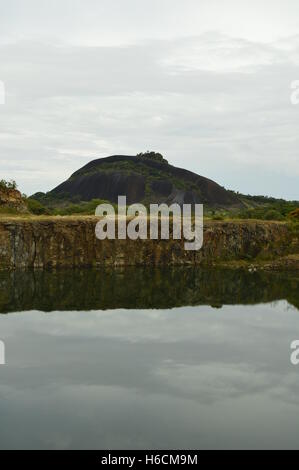 Stone Elephant, Venezuela Stock Photo - Alamy