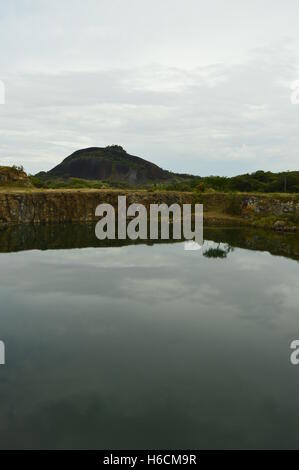Stone Elephant, Venezuela Stock Photo - Alamy