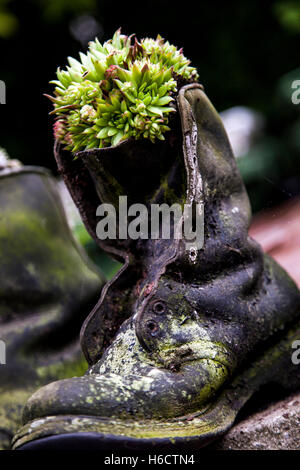 Old army boots serving as planters Stock Photo - Alamy