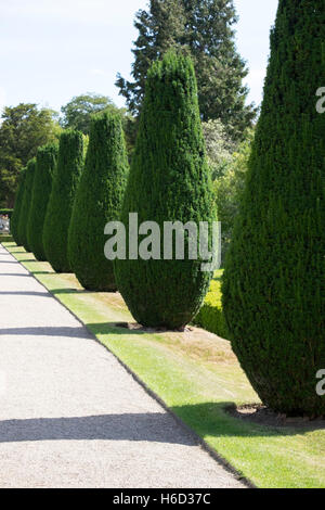 Formal Tree Lined boulevard gardens Stock Photo - Alamy