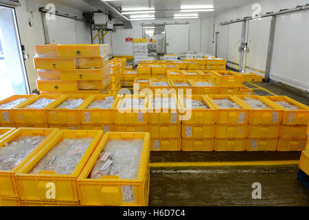 Fish landings and catch at the Lerwick fish market in Shetland Islands ...
