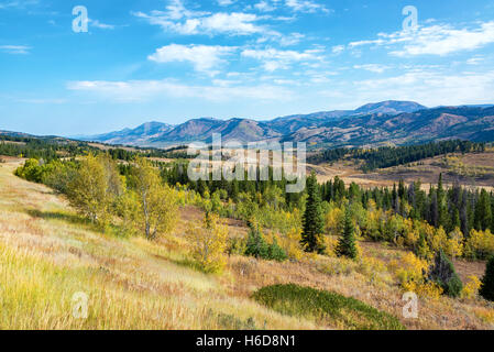 Beautiful colorful autumn landscape of the hills with trees, rocks and ...