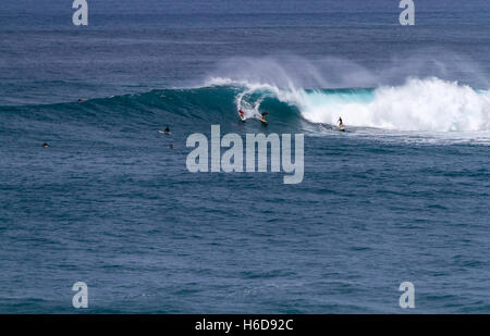 Large winter wave on the North Shore of the island of Oahu Hawaii USA ...