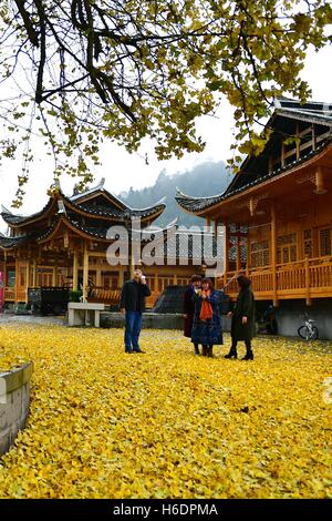 An ancient ginkgo tree attracts people in Shoujiang Village, Hangzhou ...