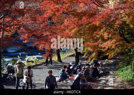 Ome, Tokyo, Japan. 18th November, 2016. Trees turn brilliant red and ...