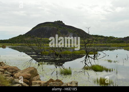 Stone Elephant, Venezuela Stock Photo - Alamy