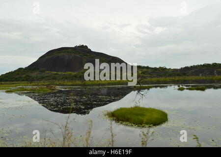 Rock Elephant, Venezuela Stock Photo - Alamy