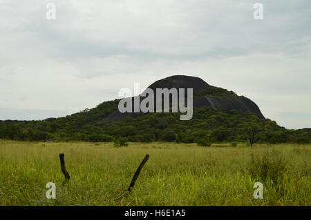 Rock Elephant, Venezuela Stock Photo - Alamy