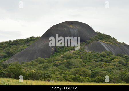 Stone Elephant, Venezuela Stock Photo - Alamy