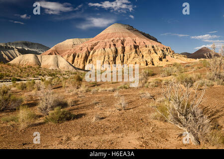 Dry saxaul (haloxylon ammodendron) shrub, bizarrely shaped, Gobi Desert ...
