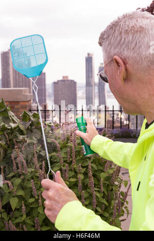 Mature Man Fighting Flying Insects, USA Stock Photo - Alamy