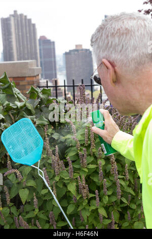 Mature Man Fighting Flying Insects, USA Stock Photo - Alamy
