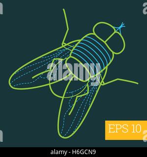 Housefly linear icon. Insect. Musca domestica. Thin line illustration ...