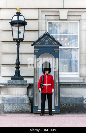 Grenadier Guard in his sentry box at Royal Windsor Castle in Berkshire ...