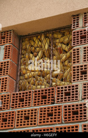 Corn stack, Corn silo. Old corn Stock Photo - Alamy