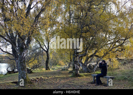Birdwatching in the Muir of Dinnet National Nature Reserve Cairngorms ...