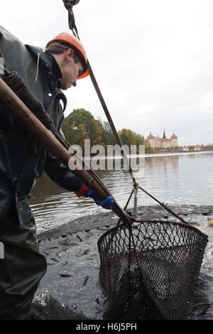 Dresden, Germany. 29th Oct, 2016. A freshwater fisherman from the ...