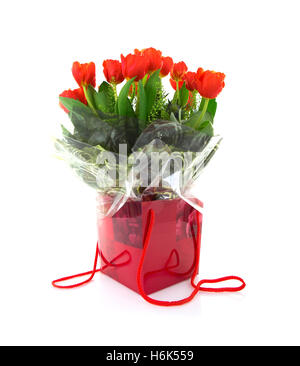 Red tulips bouquet on a bright yellow background. Mothers Day ...