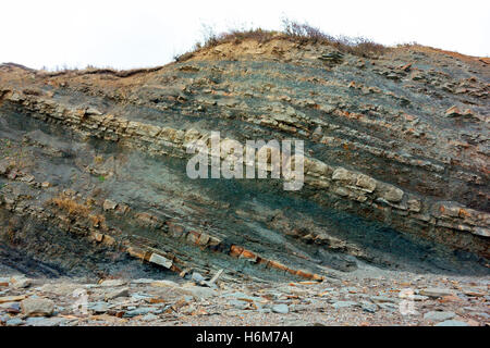 Joggins Fossil Cliffs where Bay Fundy tides expose fossils the Coal Age ...