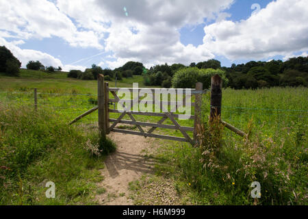 Open Five Barred Field Gate in Hampshire, UK Stock Photo - Alamy