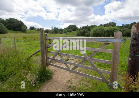 Open Five Barred Field Gate in Hampshire, UK Stock Photo - Alamy
