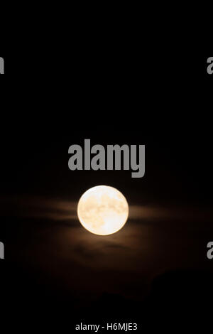 Nice shoot of the full moon without clouds Stock Photo - Alamy