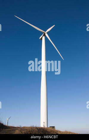 wind power, pinwheel, renewable energy, wind powers, pinwheels ...