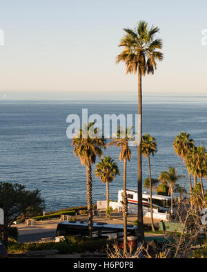 Palm tree in Malibu, California Stock Photo - Alamy
