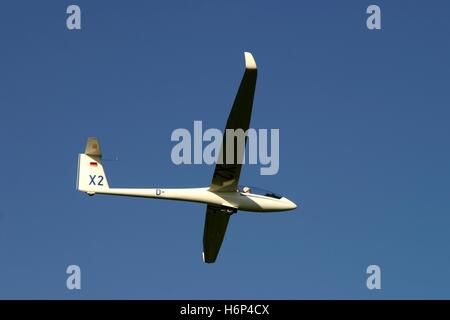 sport, sports, blank, european, caucasian, badminton, shuttlecock ...