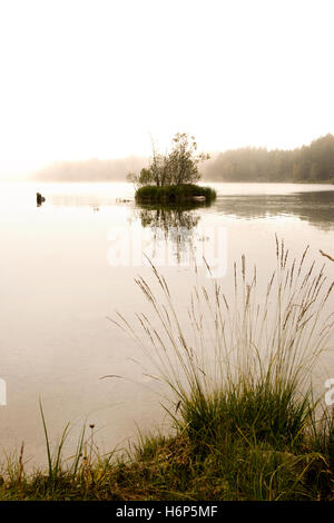 beautiful beauteously nice environment enviroment tree trees park ...