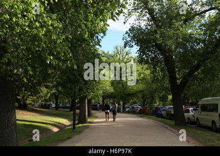 The ‘Tan’ jogging track in Melbourne Stock Photo - Alamy