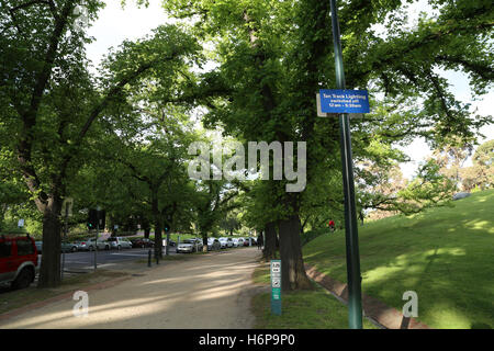 The ‘Tan’ jogging track in Melbourne Stock Photo - Alamy