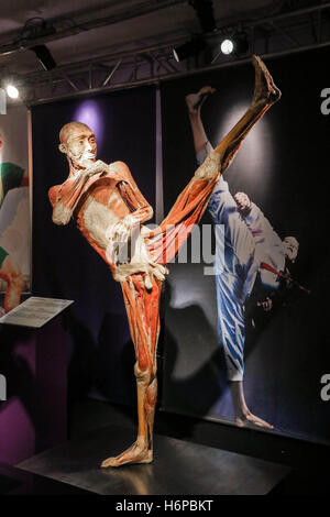 ‘Real Bodies’ a Discovery of the Human Body Exhibition in Milan ...