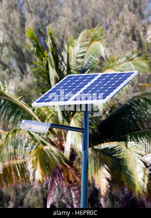 Lamp with the solar battery in tropics Stock Photo - Alamy