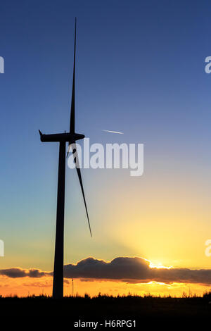 Glasgow, Scotland, UK. 1st November 2014: A rugby match against Glasgow ...