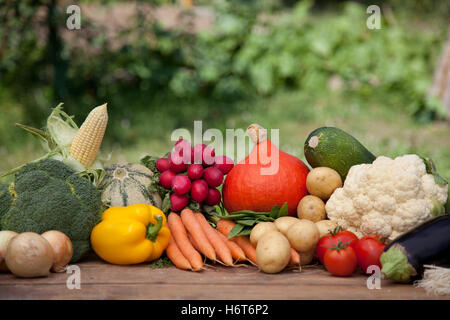 food, aliment, agriculture, farming, freshness, vegetable, diet, cook ...
